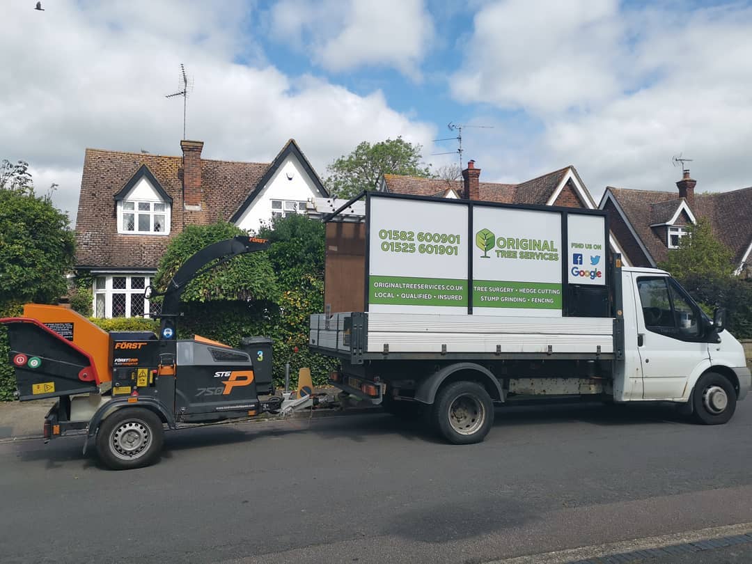 5 Essential Tree Care Tips for September - Original tree services