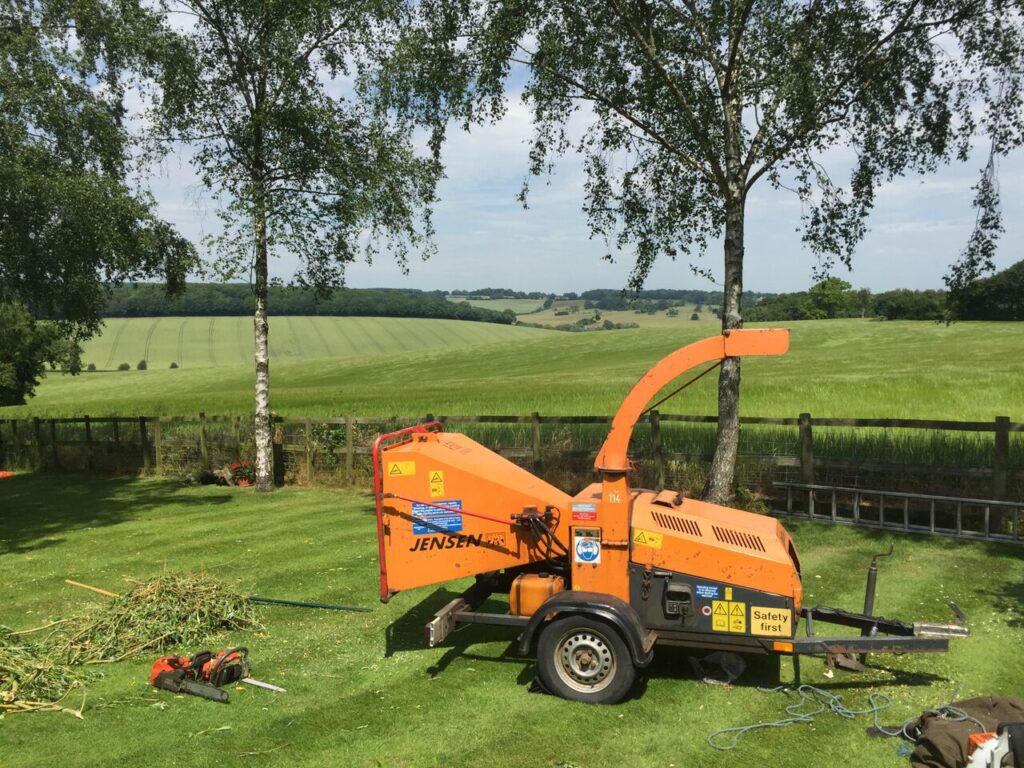 Expert Bedford Tree Surgeons | Professional Tree Care Services